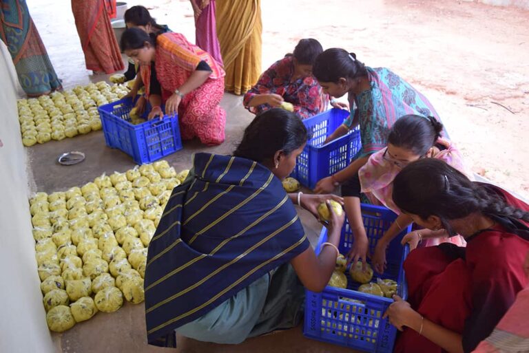 Naryana Seva – 2019 – Sri Sathya Sai Institute of Higher Learning (SSSIHL)
